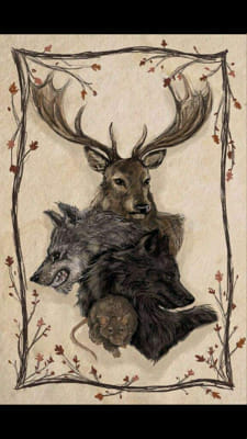 What's your animagus? - Quiz | Quotev