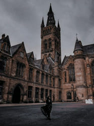 Published | Ants | Quotev