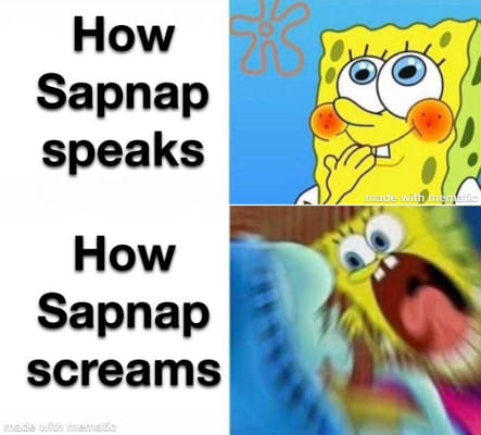 Choose a DSMP meme get a DSMP meme - Quiz | Quotev