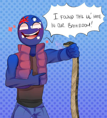 which one of the north america gang are you? (countryhumans) - Quiz ...