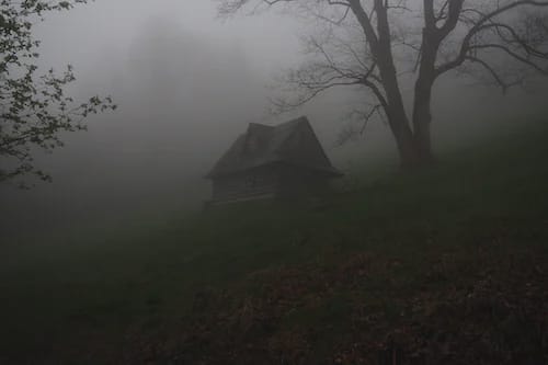 Build a Haunted house and get Identity V ghost costume - Quiz | Quotev