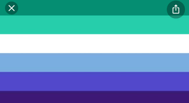 Do you know these pride flags (easy version) - Test | Quotev
