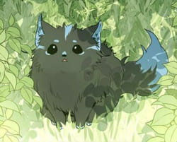 Who Would You Choose? WMMAP Edition - Survey | Quotev