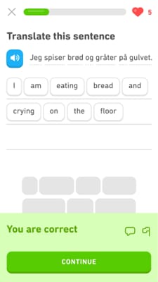 Pick some unhinged Duolingo sentences and get a dream SMP member - Quiz ...