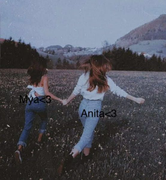 Choose my pfp! - Poll | Quotev