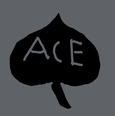 AcE | Quotev