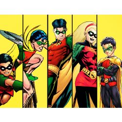 Will you be the next Robin? - Quiz | Quotev