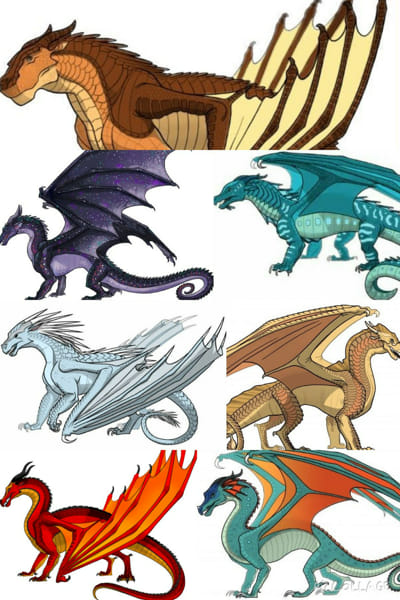 Wings of Fire Quiz- What character likes you - Quiz | Quotev