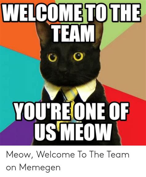 Are you fit to be in team MEOW? - Quiz