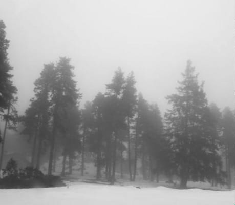 Are You More Like Augustine Or Winnie? - Cold Front - Quiz | Quotev