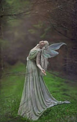 𝚆𝚑𝚊𝚝 𝚝𝚢𝚙𝚎 𝚘𝚏 𝚏𝚊𝚒𝚛𝚢 𝚊𝚛𝚎 𝚢𝚘𝚞? - Quiz | Quotev