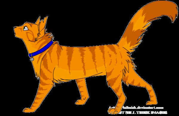 How well do you know Firestar? - Test | Quotev