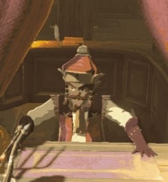 Guess the Botw NPC's - Test | Quotev
