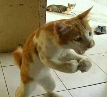 Which AWSW character are you? - Quiz | Quotev