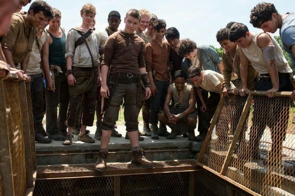 Your Maze Runner Life (GIRLS ONLY) *long results* - Quiz | Quotev