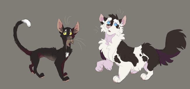 A Very Long Warrior Cats Quiz - Test | Quotev