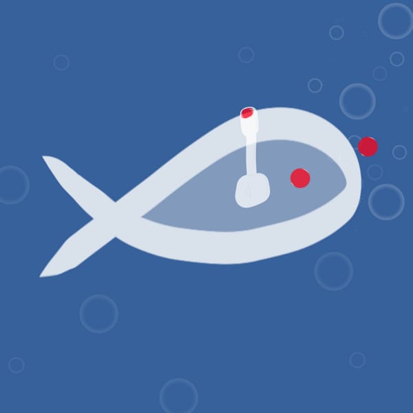 FishBot | Quotev