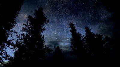 Your Autobot Sparkmate (Transformers Prime) - Quiz | Quotev