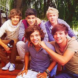 Your one direction fight - Quiz | Quotev