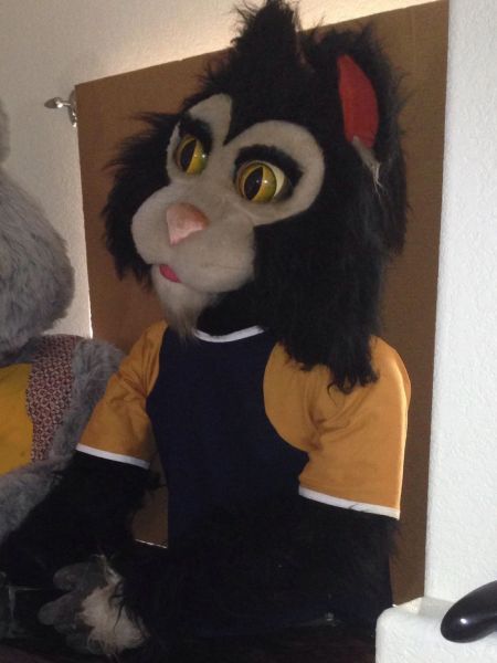 Crusty the Cat | Crusty the Cat | Quotev