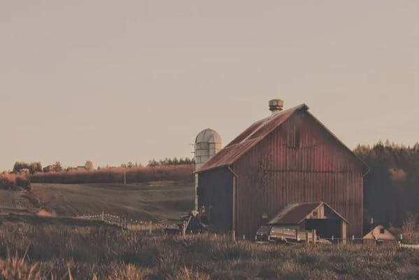 Which Mane Six Character Are You? - Quiz | Quotev