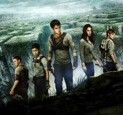 Which Maze Runner Character Are You? - Quiz | Quotev