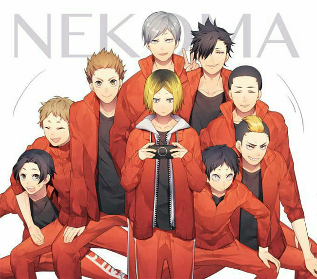How Well Do You Know The Nekoma Volleyball Team? - Test