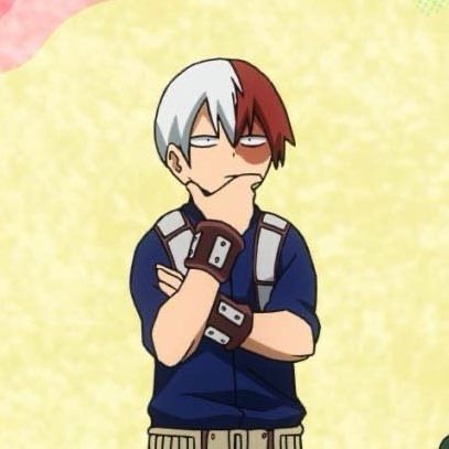 The Truly Ultimate Shoto Todoroki Quiz - Test