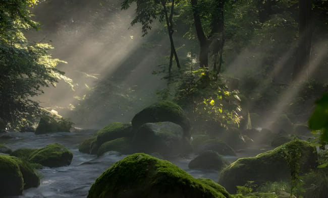 What mythical creature are you? - Quiz | Quotev