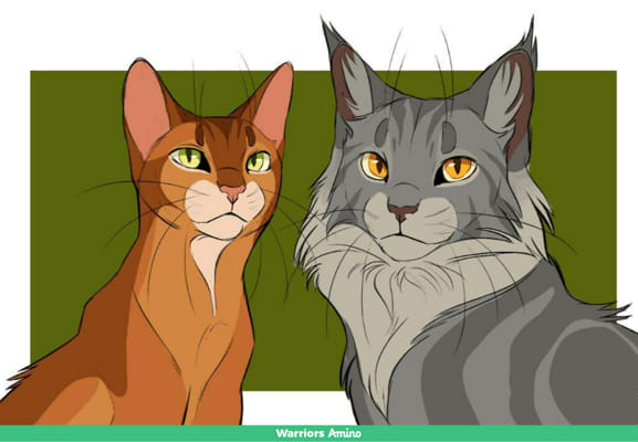 Warriors: Impossible Quiz - Test | Quotev