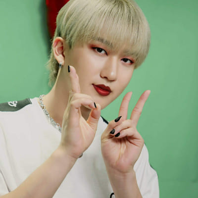 Welcome to Changbin salon! - Quiz | Quotev