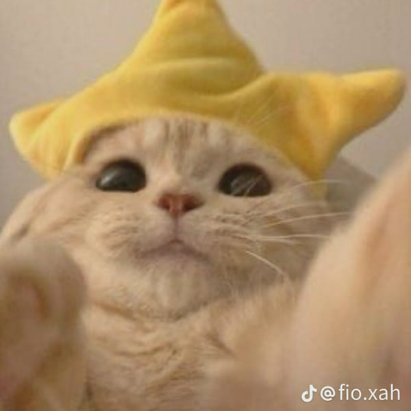 Mawce or Elliott | Quotev