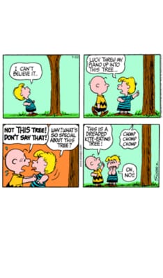 A charlie brown personality test - Quiz | Quotev