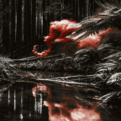 pick some pretty pictures and get a pyro character - Quiz | Quotev