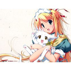 How well do you know Anime? - Test | Quotev