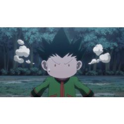 HunterxHunter Nen Type Assessment BETA 1ST DRAFT - NON-WORKING - Quiz ...