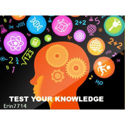 Test your knowledge - Test | Quotev
