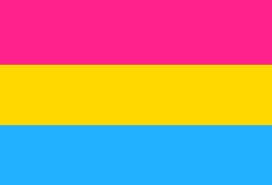 Pride flag trivia - Test | Quotev