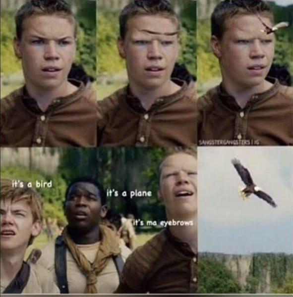Maze runner are you immune? - Quiz | Quotev