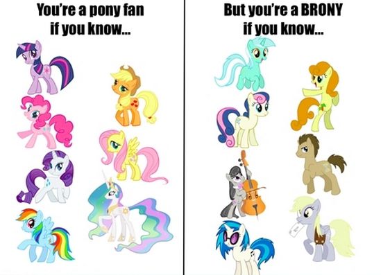 MLP Trivia - Test | Quotev