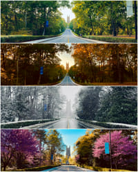 What season are you? - Quiz | Quotev