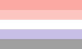Guess The ARO/ACE Flags! - Test | Quotev