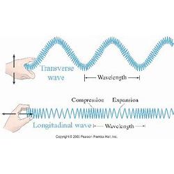 Physics- 3.3 Transverse and Longitudinal Waves - Test | Quotev