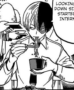 ur local todoroki stan | Quotev