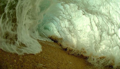 Welcome to our Disaster | Quotev