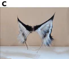 therian ears game - Quiz | Quotev