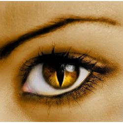 Your Hidden Powers + Eye Color - Quiz | Quotev