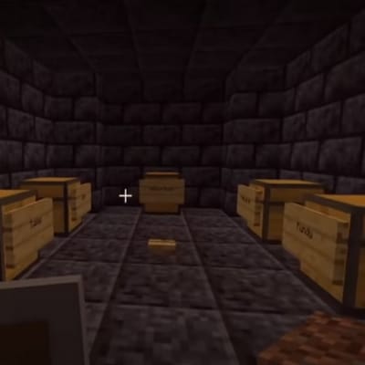 DSMP Lore test (Easy-Medium) - Test | Quotev