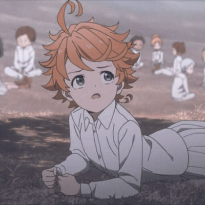 How much do you know about TPN? - Test | Quotev