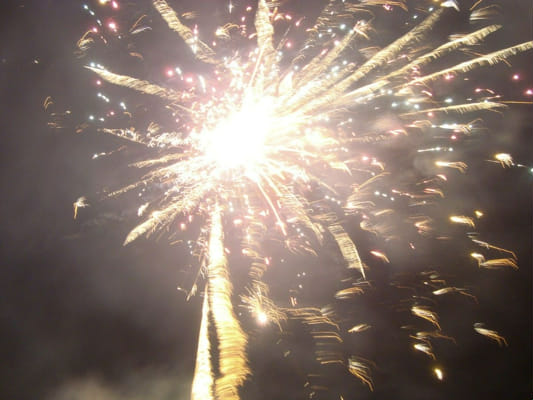 Choose things to get a random character :P - Quiz | Quotev